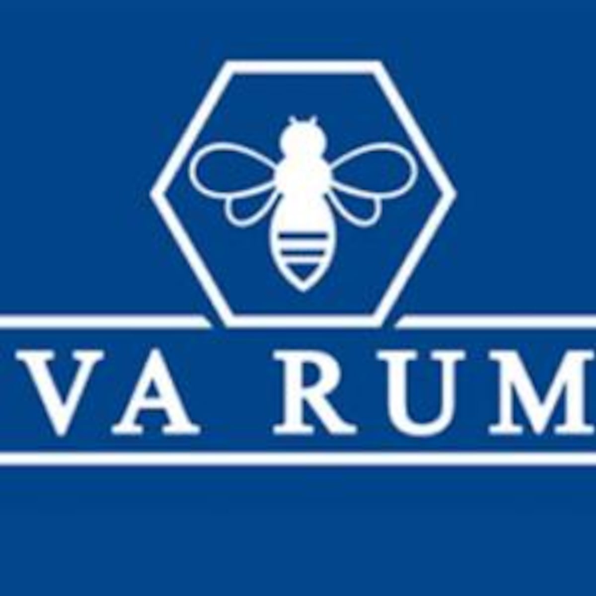 Las cuentas de Nueva Rumasa | Empresas | Cinco Días