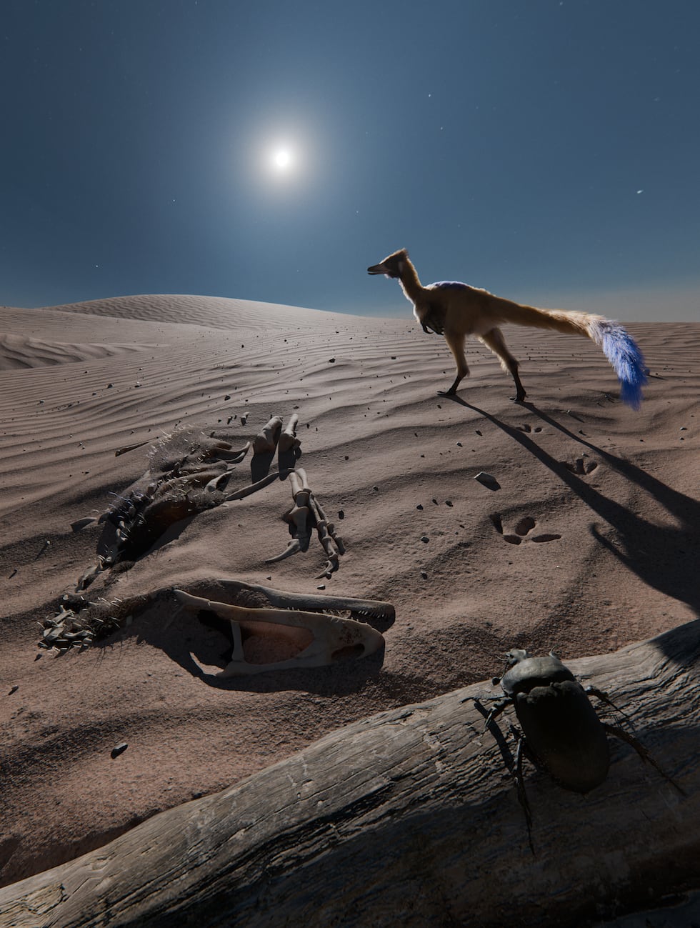 A chicken-sized dinosaur related to T. rex debunks the hypothesis that ...