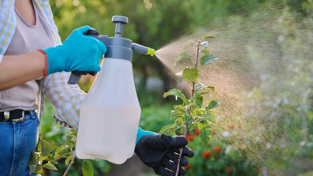 Así es el herbicida biodegradable para las malas hierbas más vendido en ...