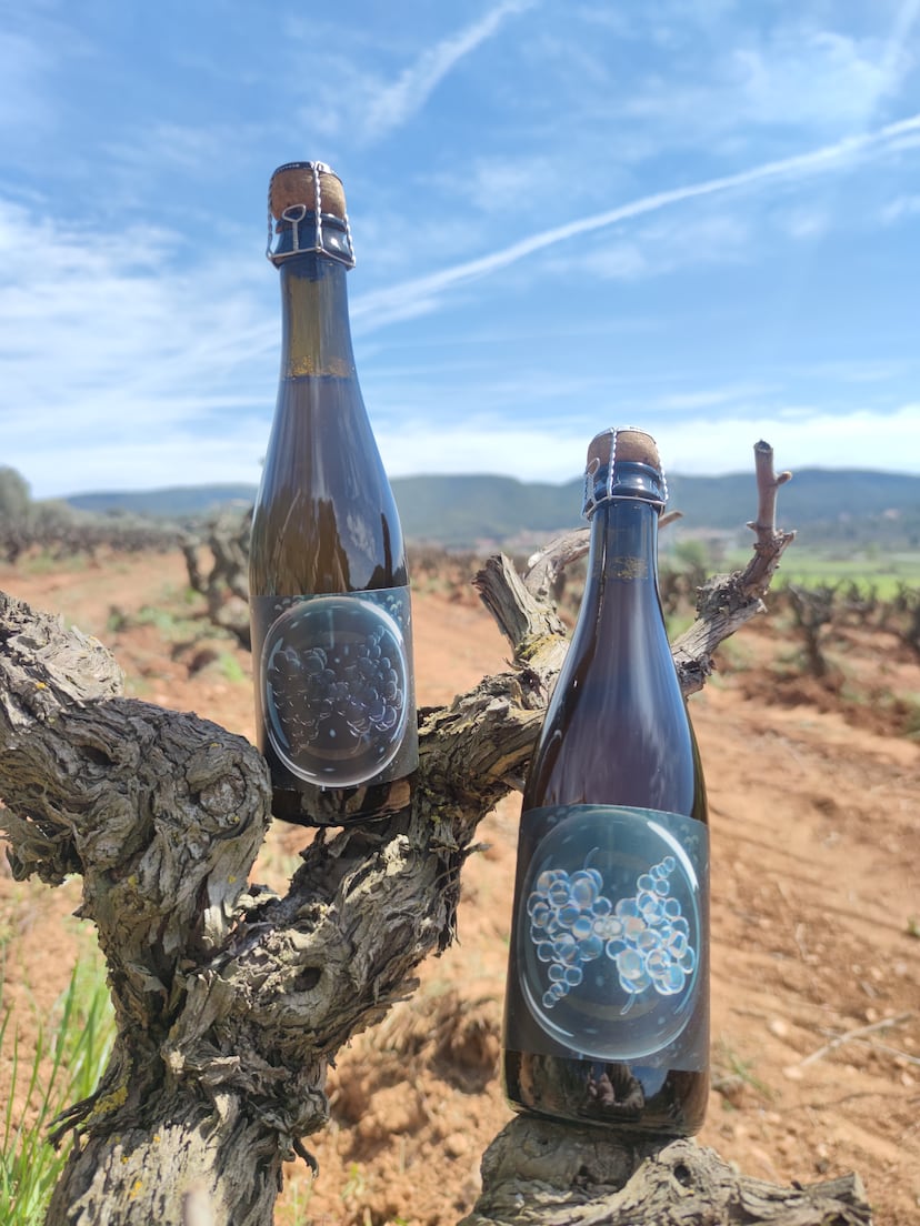 Dime qué vino te gusta y te diré qué cerveza tomar | Beber ...