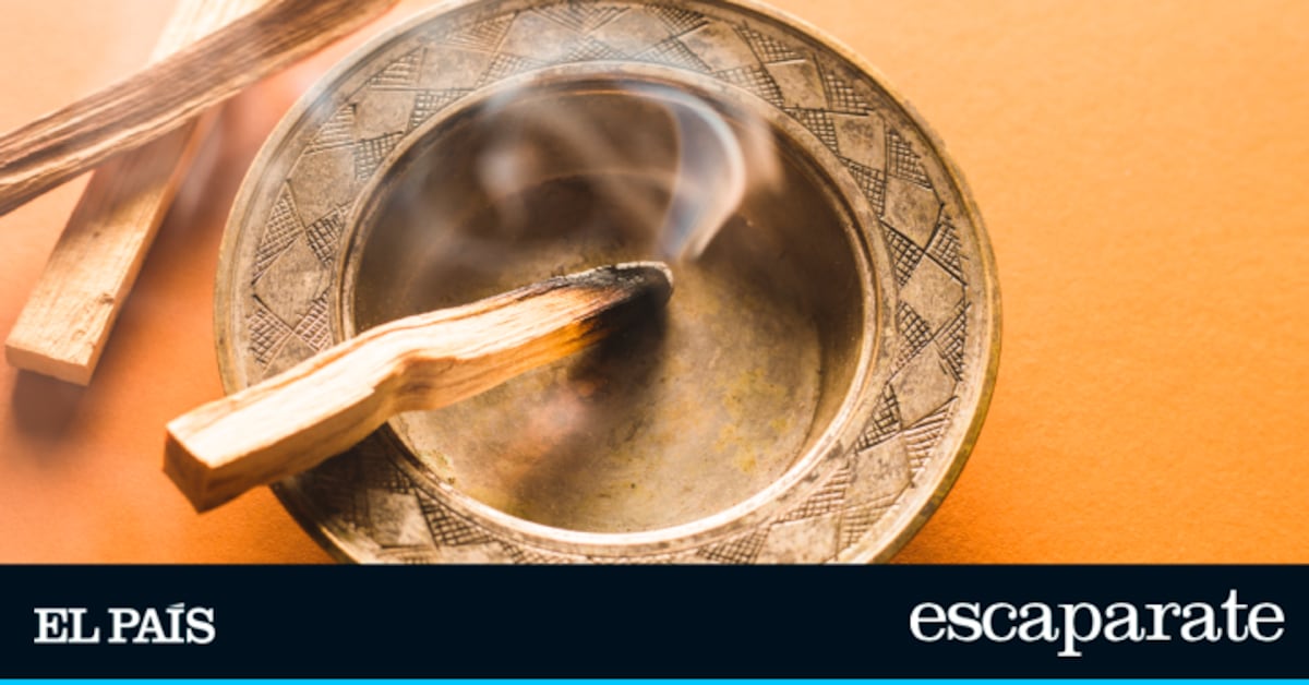 ¿Qué es el palo santo y para qué sirve? | Estilo de vida | Escaparate | EL PAÍS