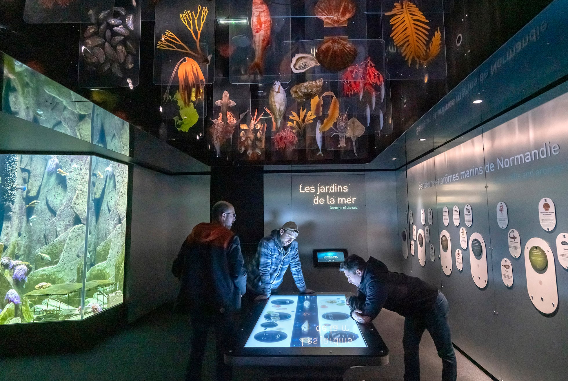Encantos de Cherburgo: su puerto histórico, su vínculo con el ‘Titanic’ y el submarino ‘Le ...
