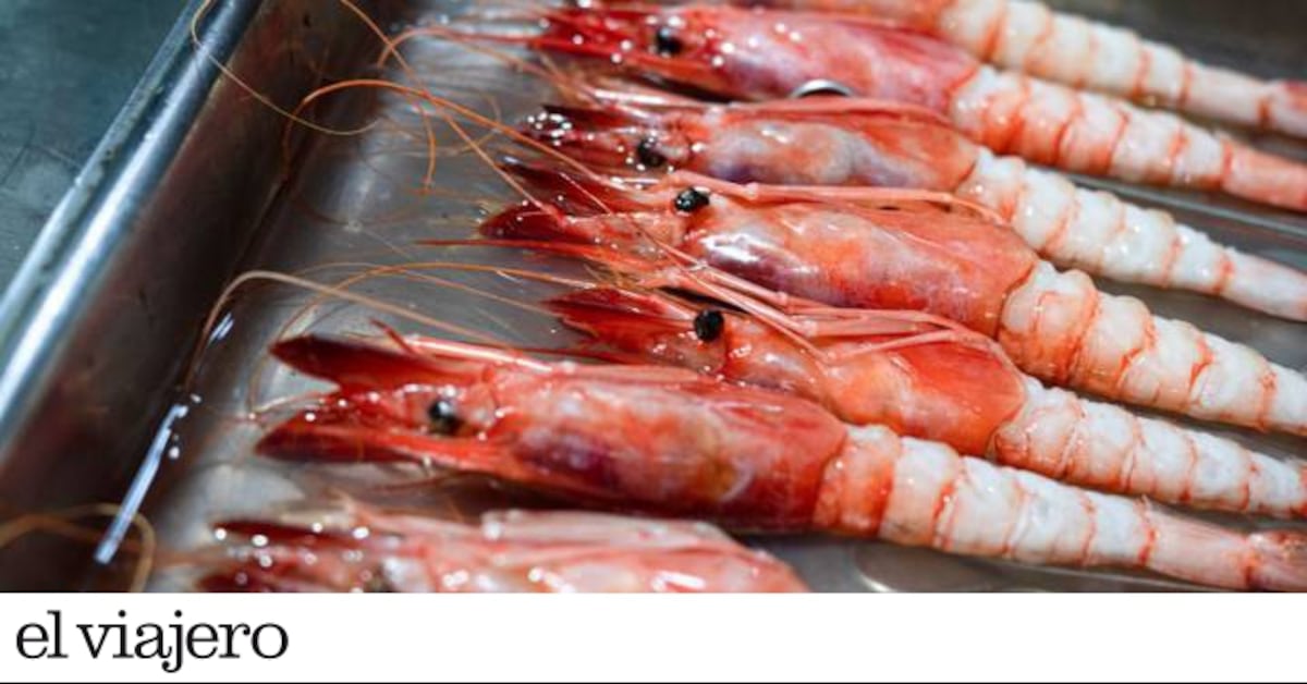 Dénia: la gamba roja como tarjeta de visita | El Viajero | EL PAÍS