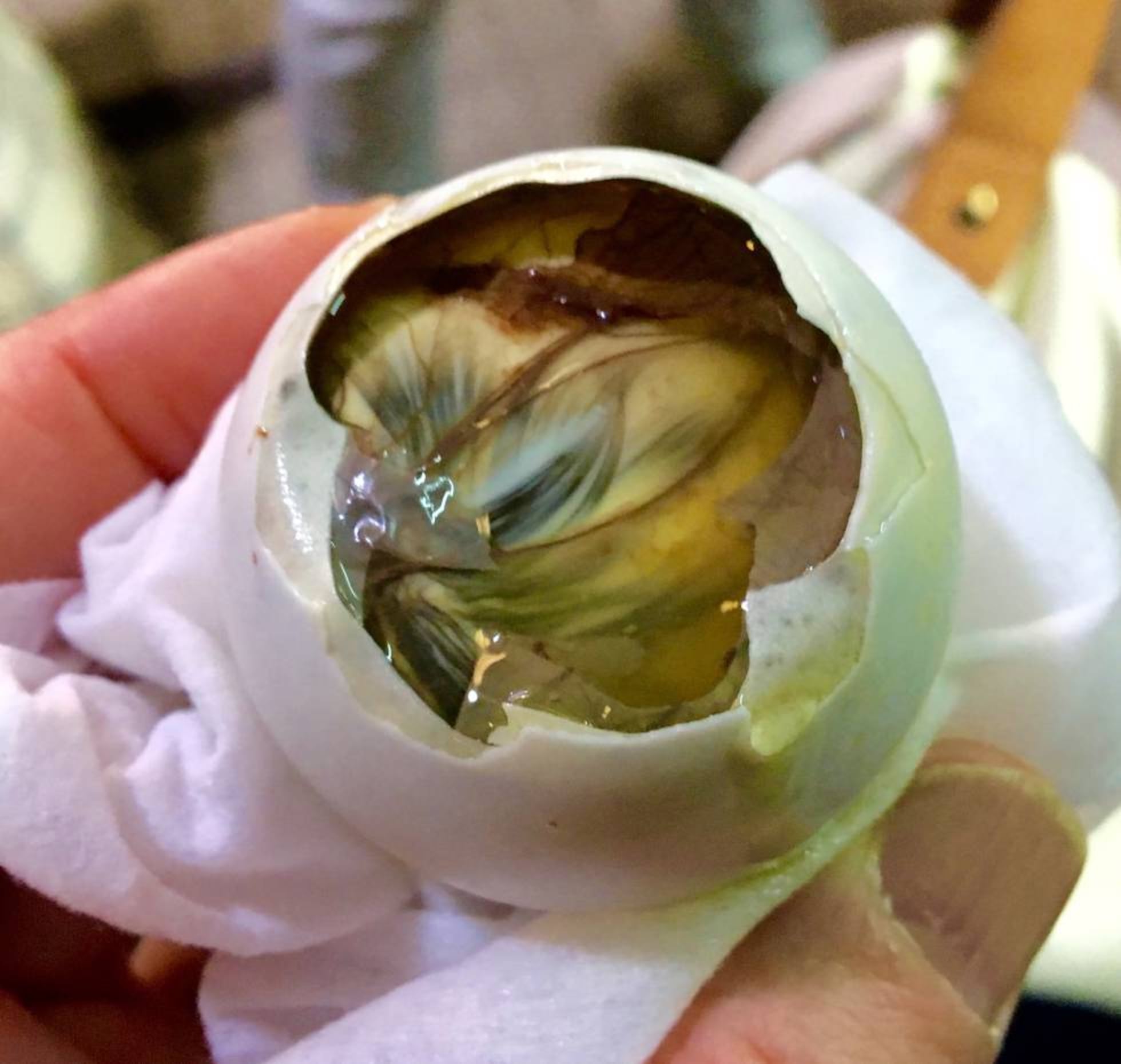 ¿A qué sabe el balut? | Gastronotas de Capel | EL PAÍS
