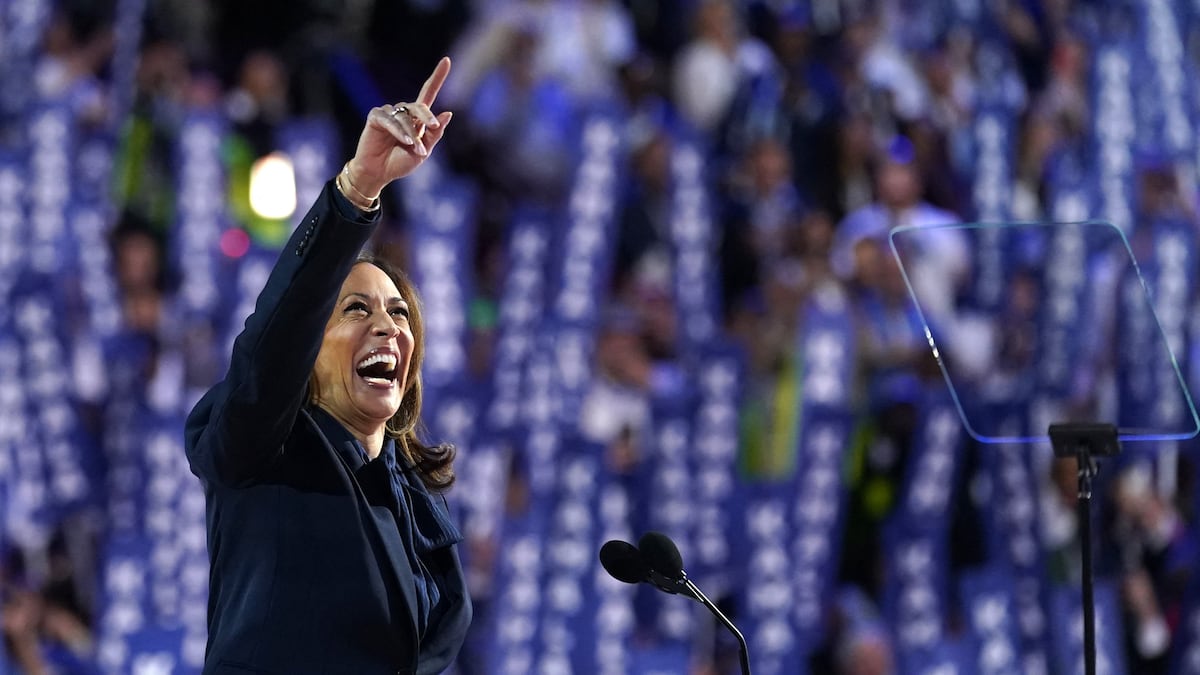 Democratic National Convention: Kamala Harris calls for unity to stop ...