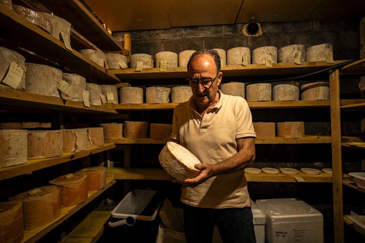 Phil Roberts : Cheddar ‘made in L’Empordà’: el físico nuclear que hace ...