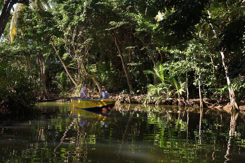 Dominica, la isla del Caribe por conocer | Lonely | El Viajero | EL PAÍS