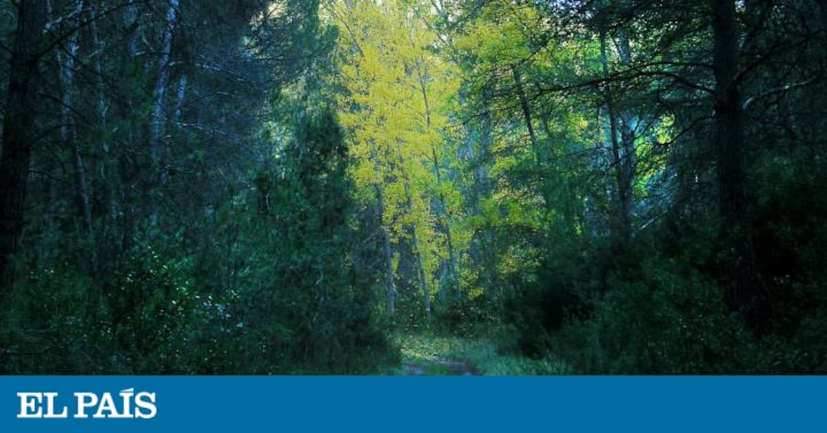 La Unesco declara el Alto Turia y el Valle del Cabriel reservas de la ...