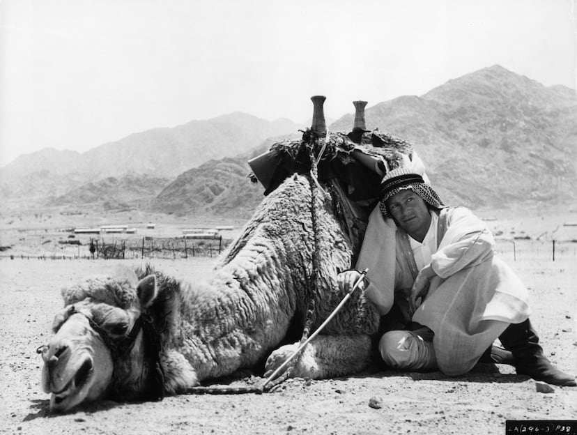 Alcohol, fights and indestructible talent: How Peter O’Toole survived ...