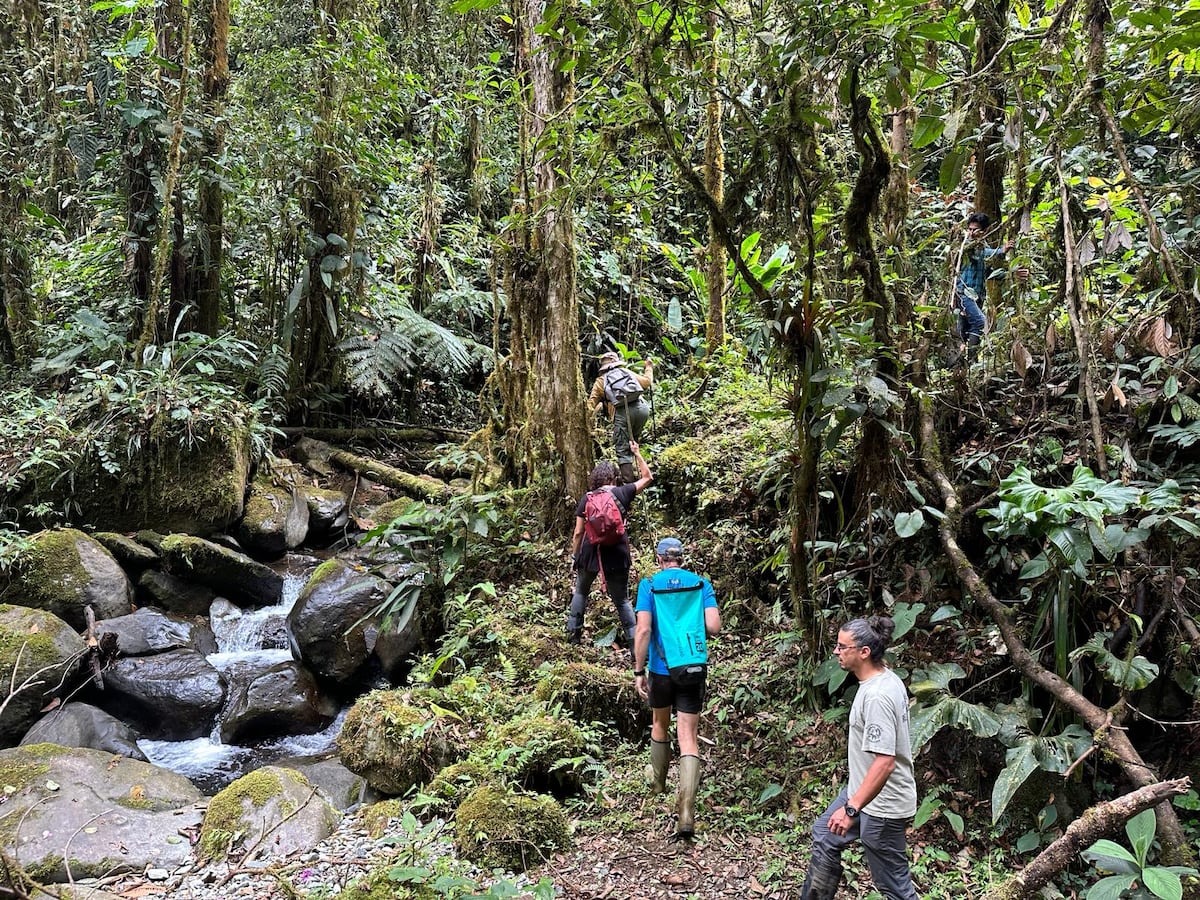 How a trial about the rights of nature led to the discovery of a ...