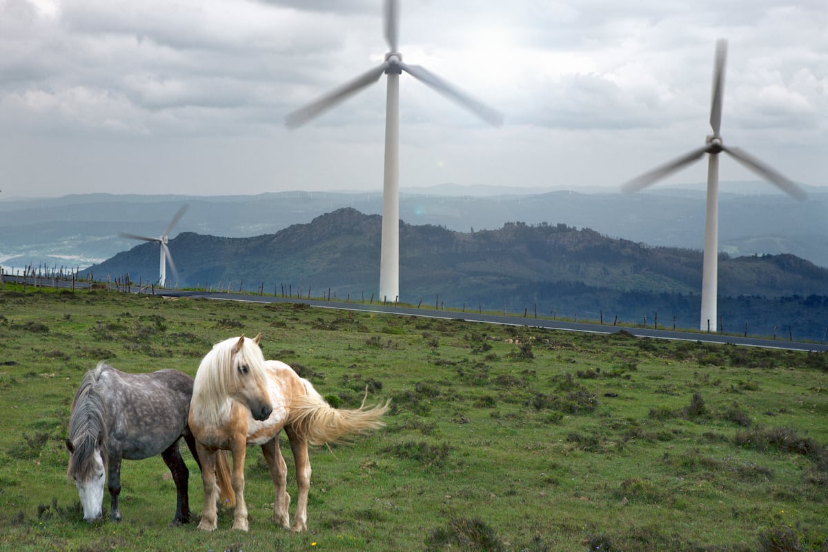 Ocho parques eólicos españoles perfectos para una excursión | Escapadas por España | El Viajero ...