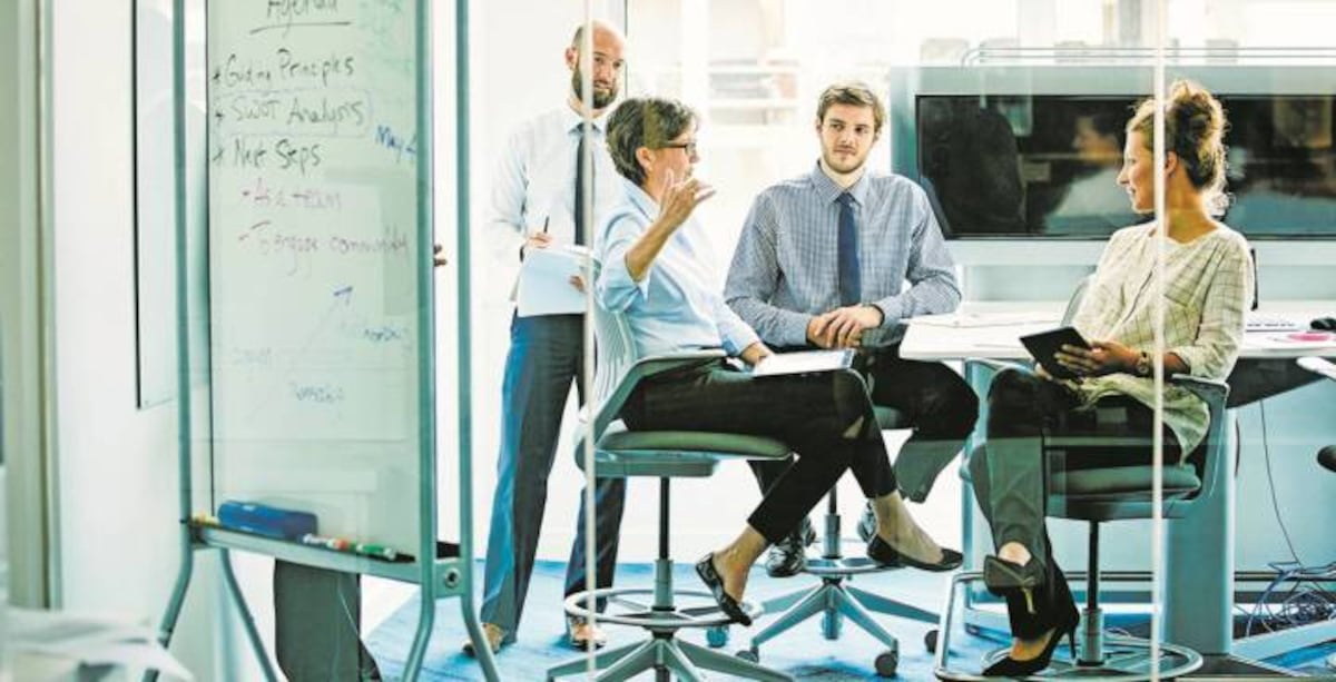 Las claves del proceso de acceso al ROAC | Legal | Cinco Días