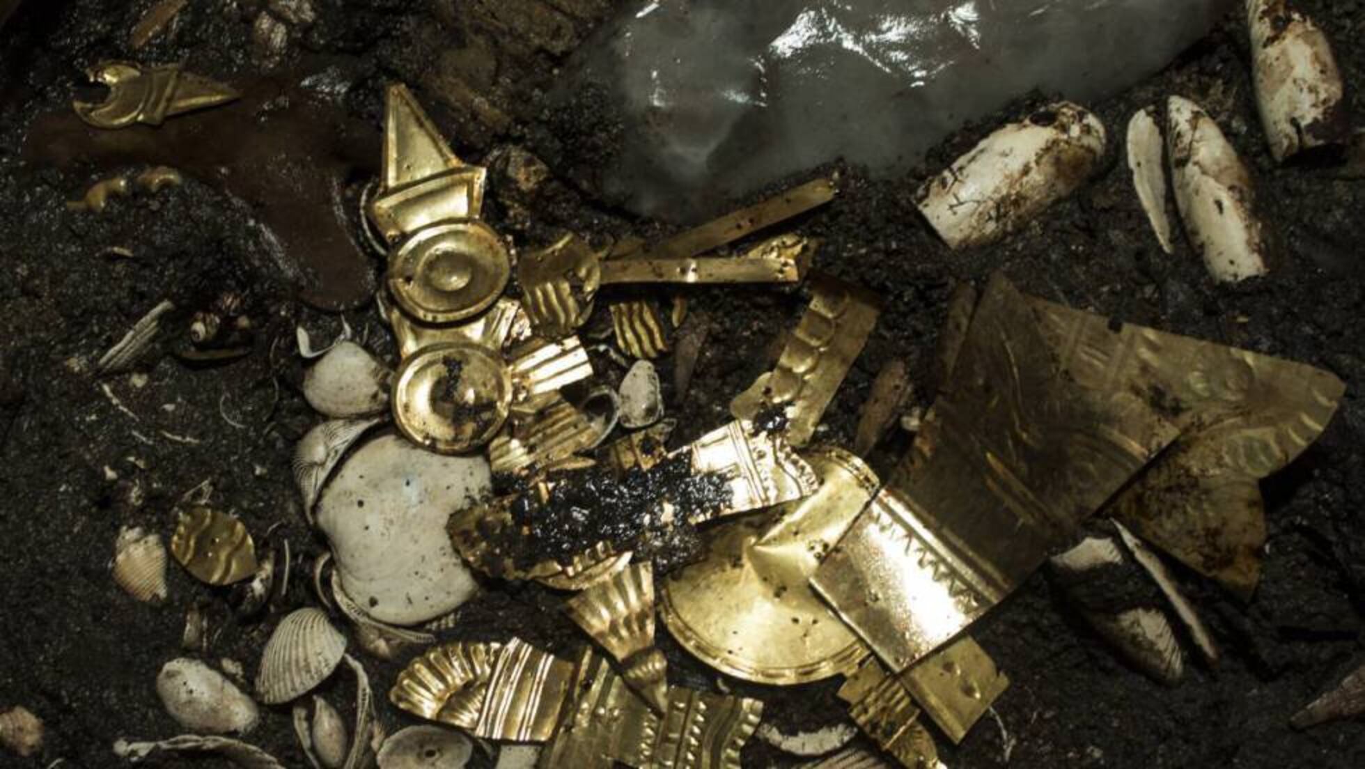 Animales de Tenochtitlan | Fotos | Cultura | EL PAÍS