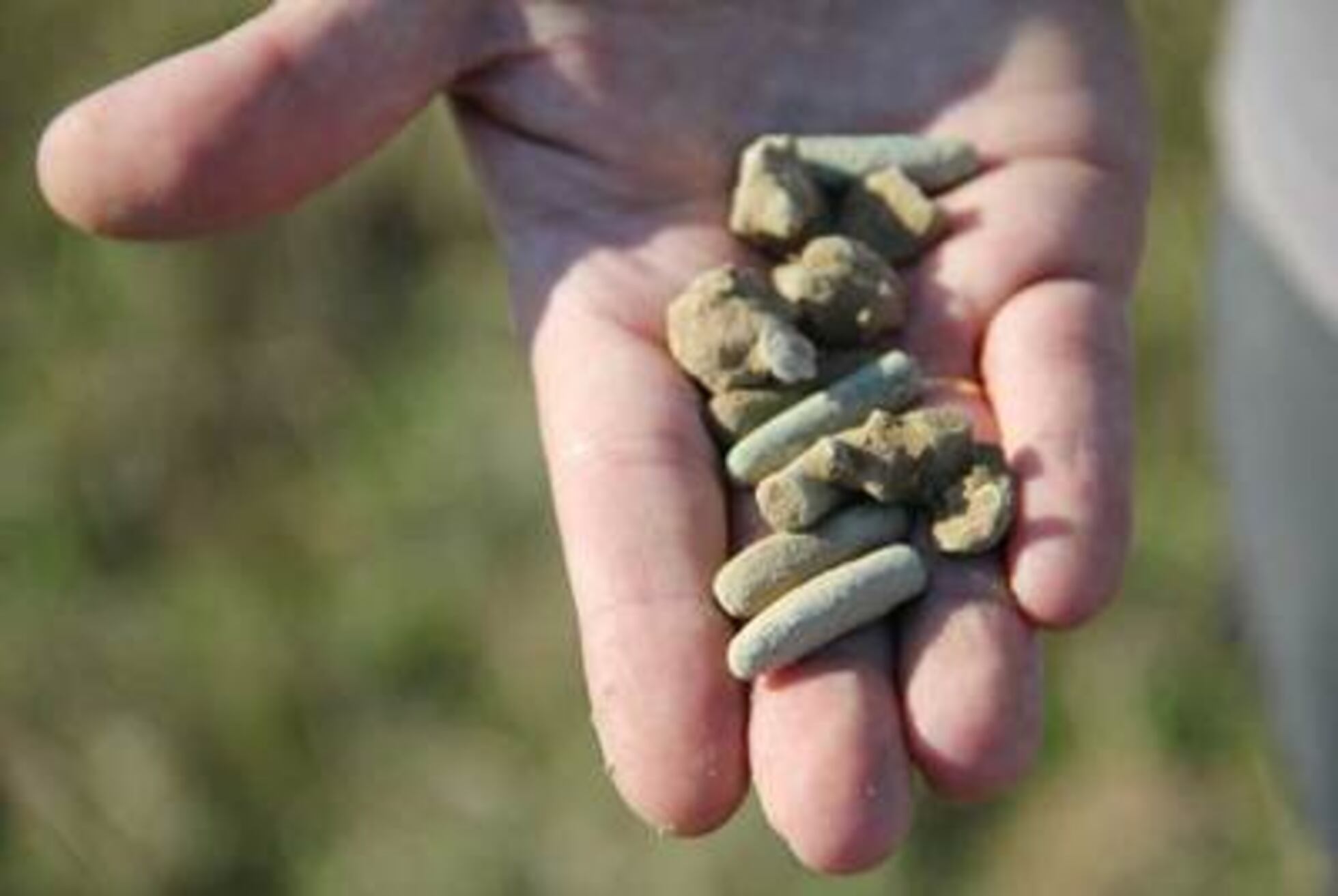 Memory of the earth: Civil War graves gradually yield their secrets ...