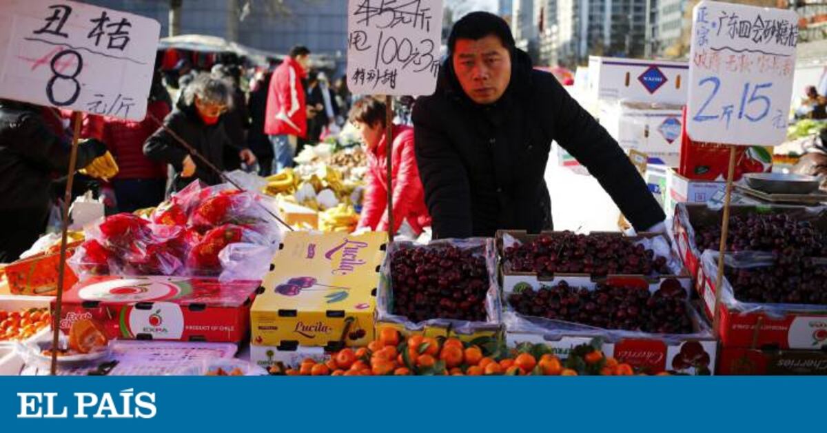 Los precios mundiales de los alimentos básicos bajan por quinto año consecutivo | Economía | EL PAÍS