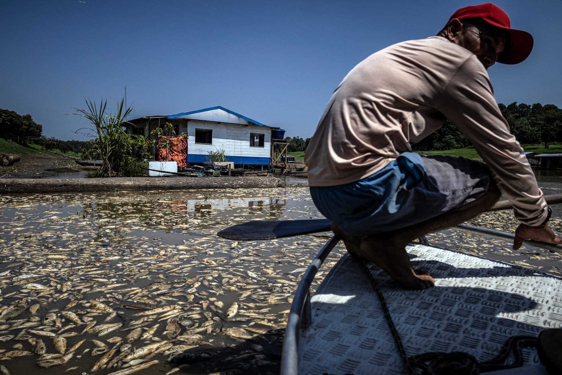 La sequía en la Amazonia, en imágenes | Fotos | Internacional | EL PAÍS