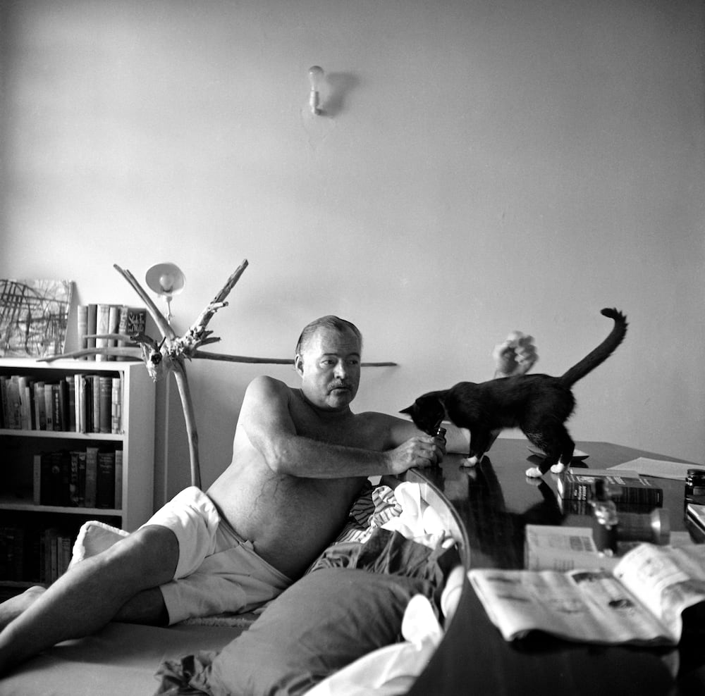 Ernest Hemingway terminó con su vida buscándole seis dedos al gato | El ...