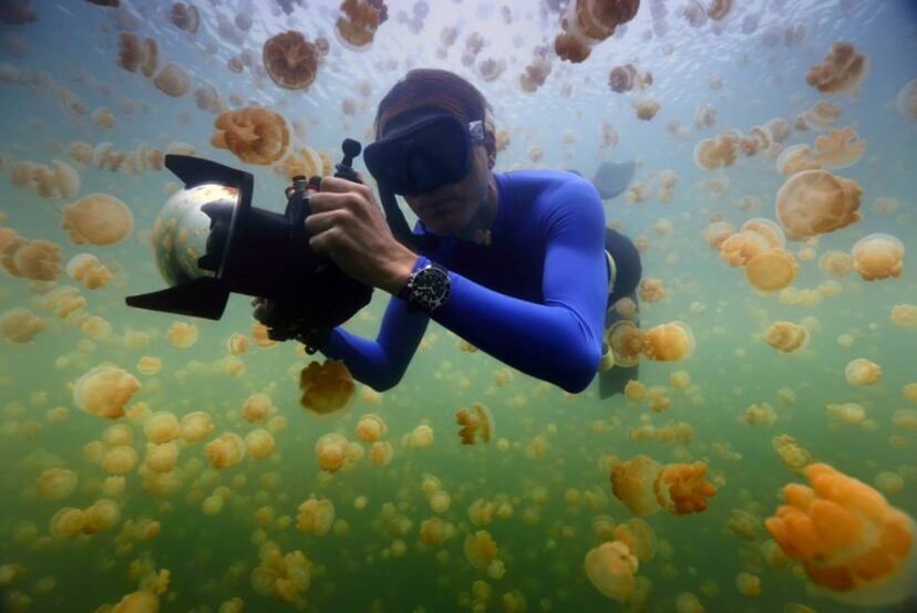 Enric Sala: ‘We need a wilder world, with wolves and sharks’ | Science ...