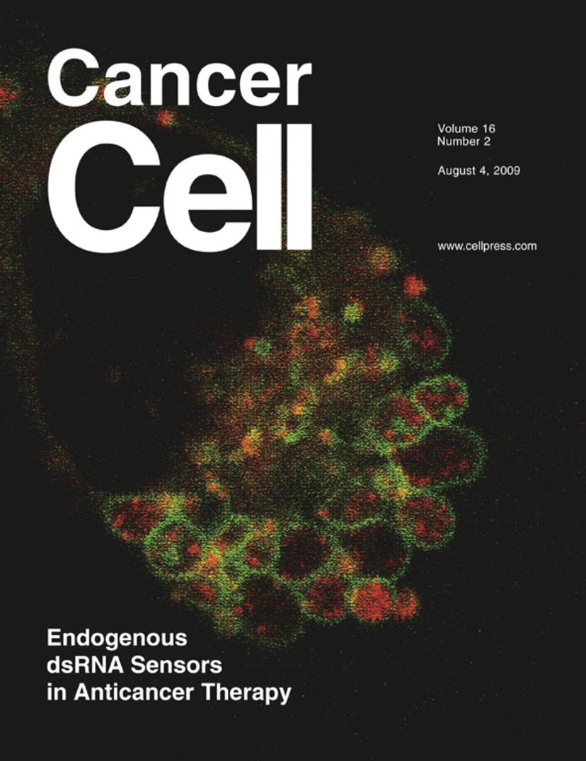 The odyssey of three women and BO-112, the molecule that tricks cancer ...