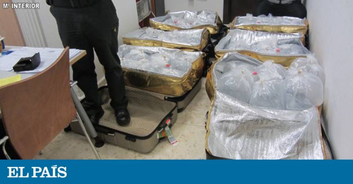 Interceptados en Barajas 310 kilos de angulas, una especie en peligro ...