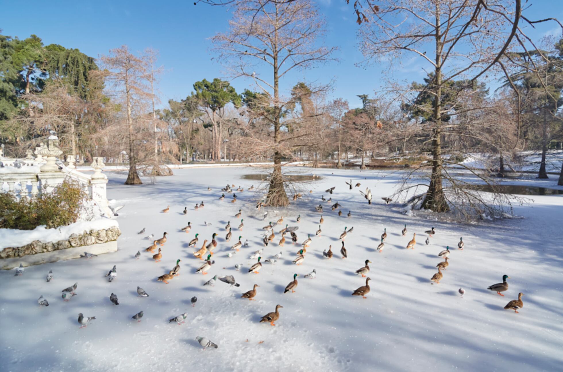 El fotógrafo que ayudó a que el Paisaje de la Luz de Madrid sea ...