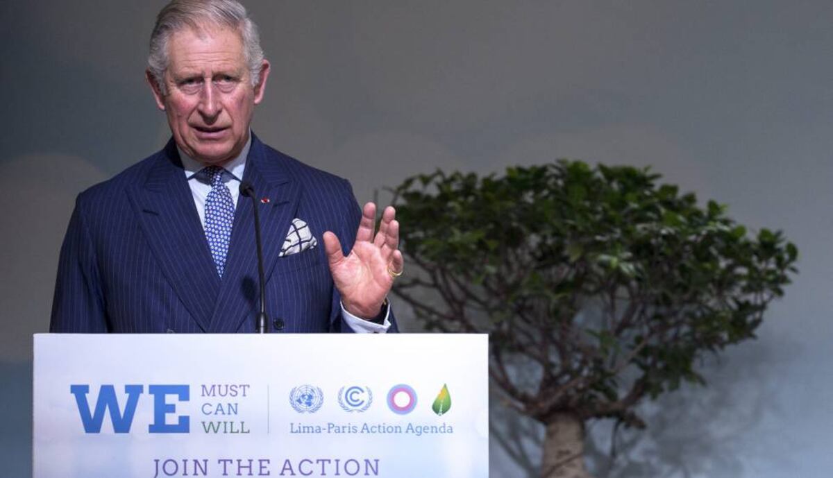 El príncipe Carlos aceptó un millón de euros de un jeque catarí ...