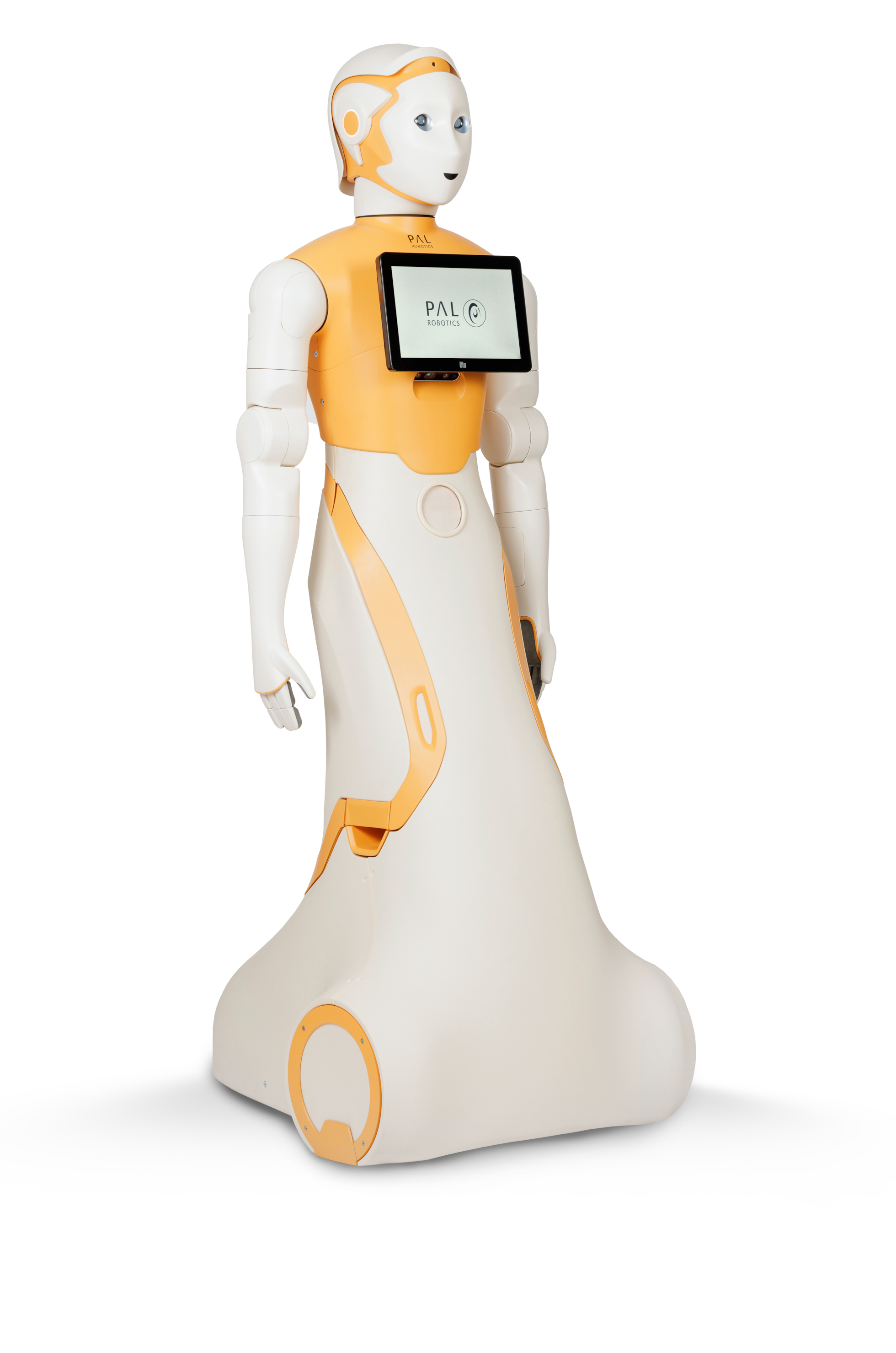 Care of the future: Can robots care for the elderly or the sick? | Science | EL PAÍS English