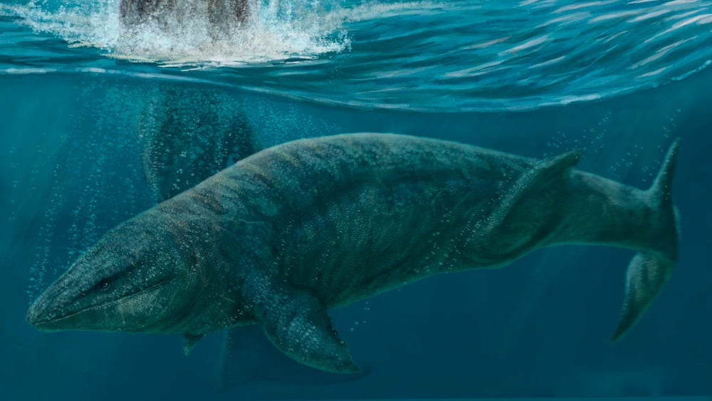 Así era el ‘Prognathodon cipactli’, el monstruo marino de la época de ...