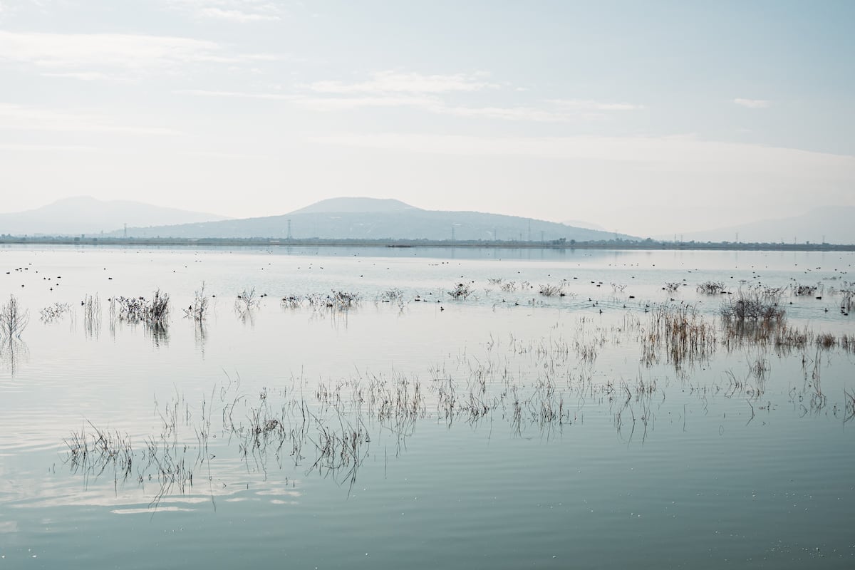 La nueva vida del lago de Texcoco | EL PAÍS México