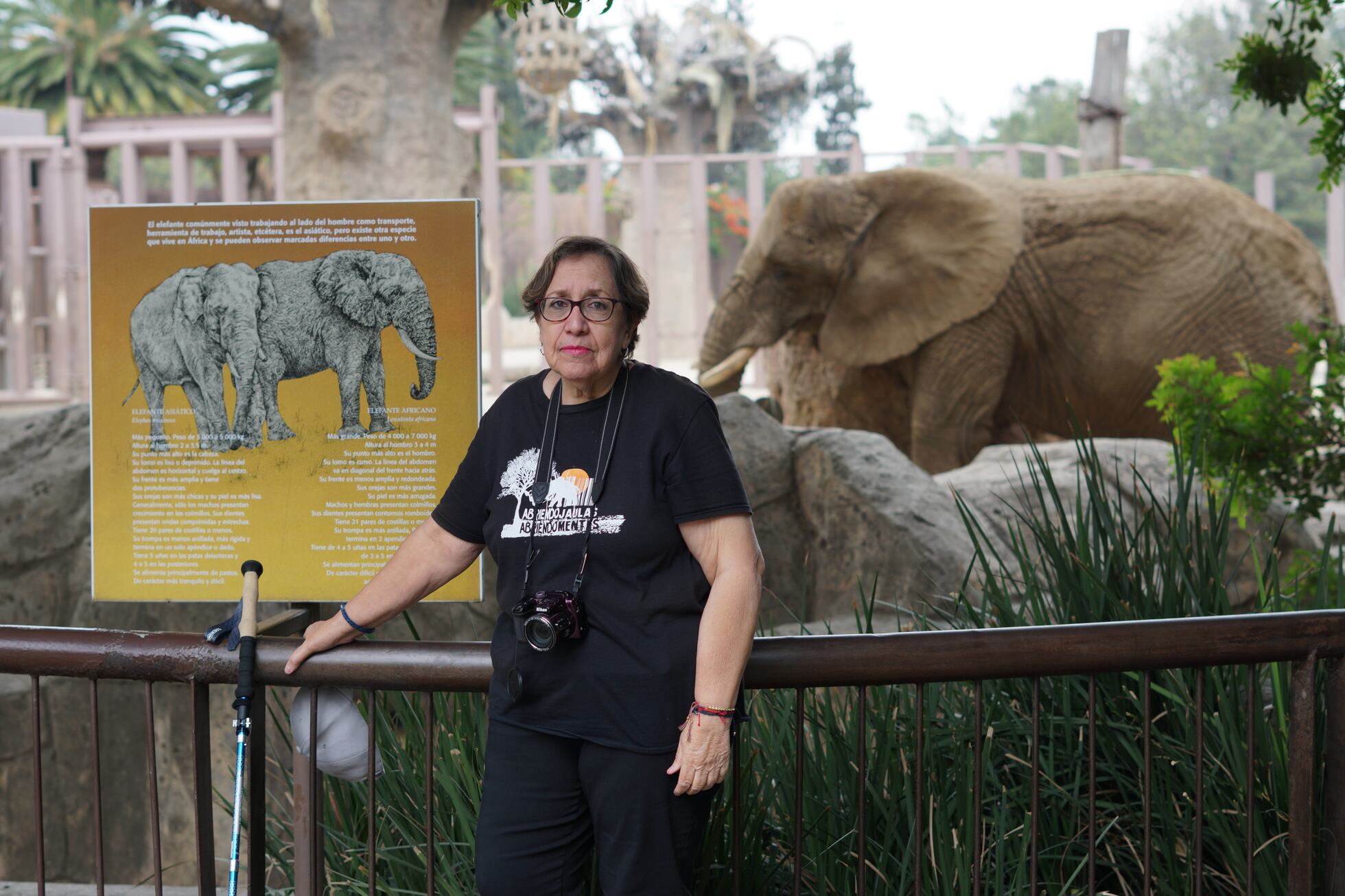 La elefanta triste vive desde hace más de diez años en un zoo de Ciudad ...