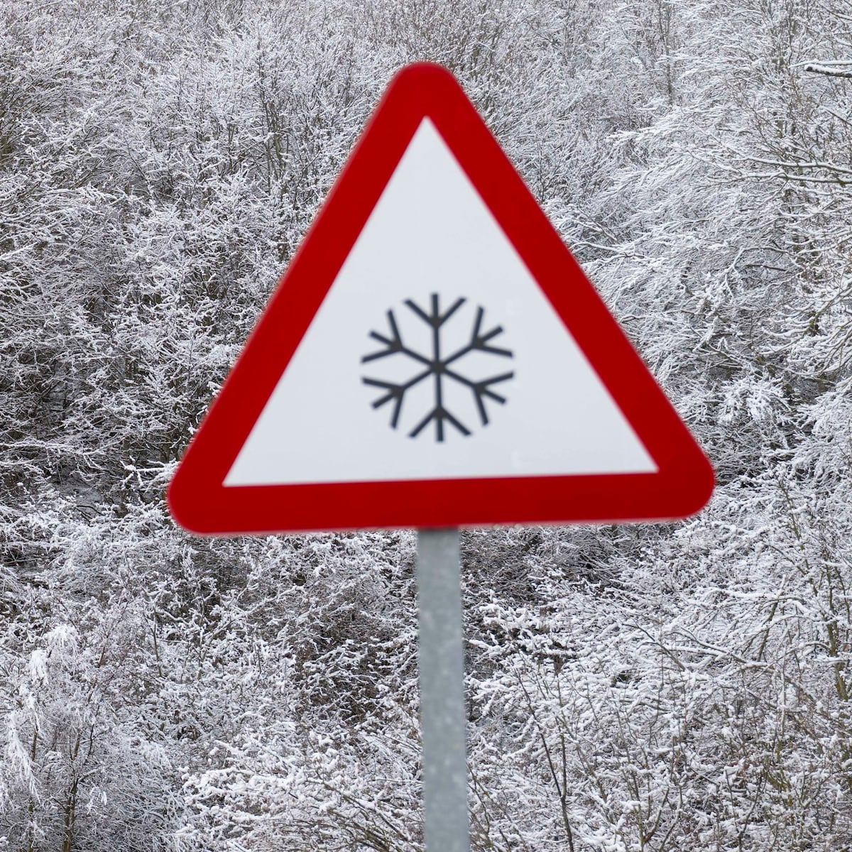 El invierno llega acompañado de nieve, lluvia y... mucho frío | El PAÍS ...