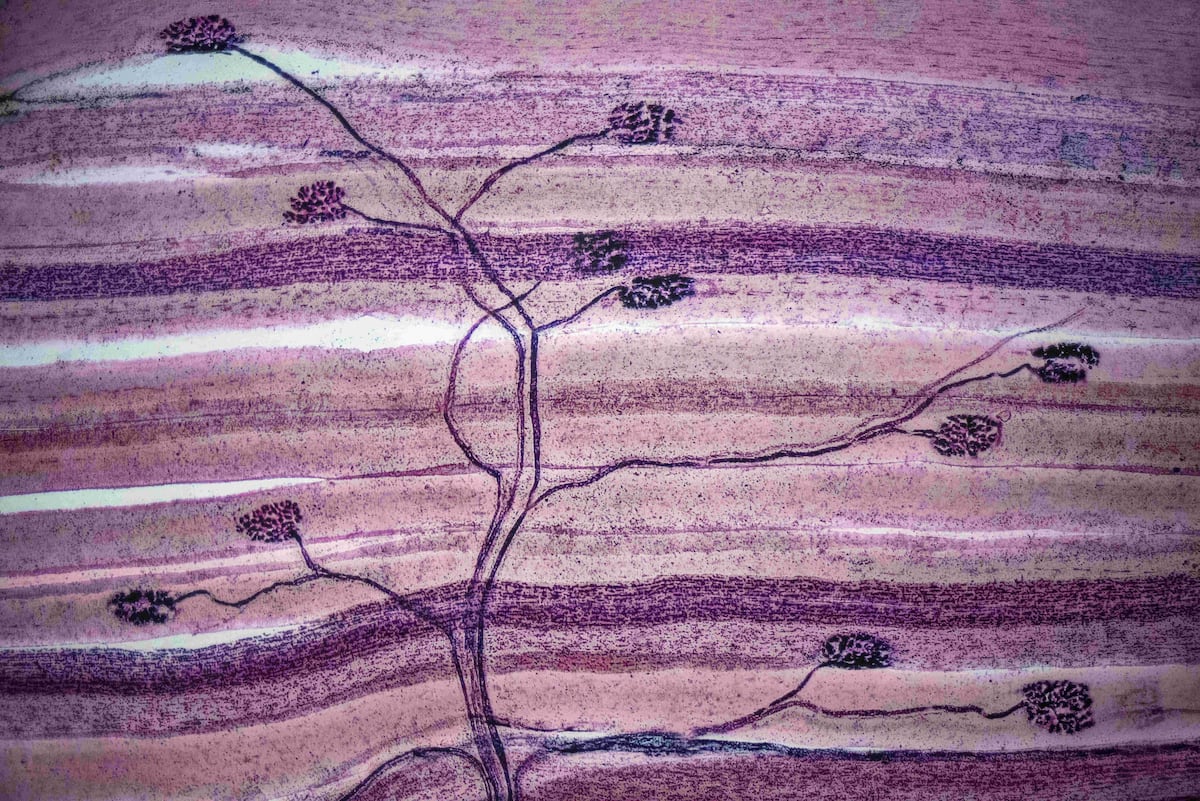 Perkumpulan bokep following some back and forth messages to