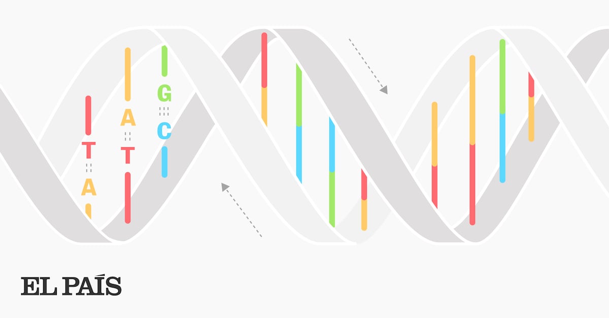 Así nació la doble hélice de ADN, el secreto de la vida que cumple 70 ...
