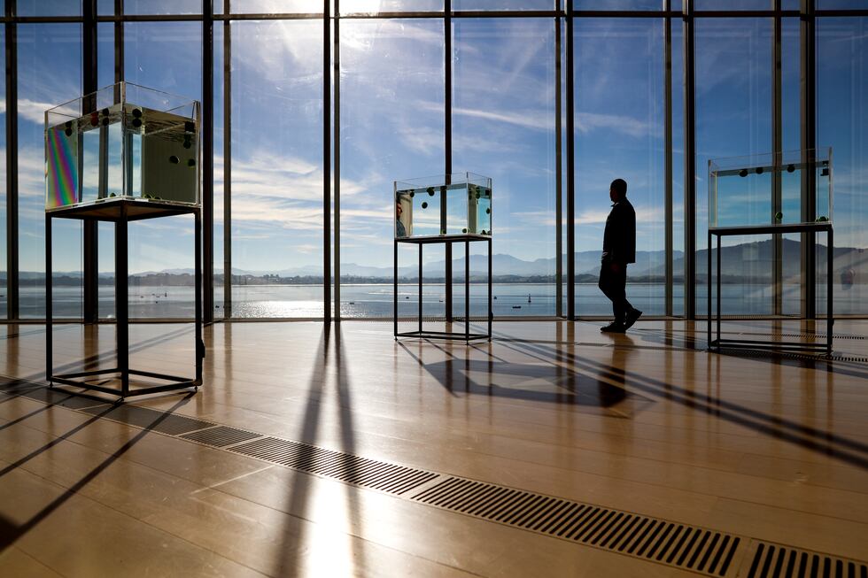 El día que el artista Shimabuku se hizo amigo de los pulpos de ...