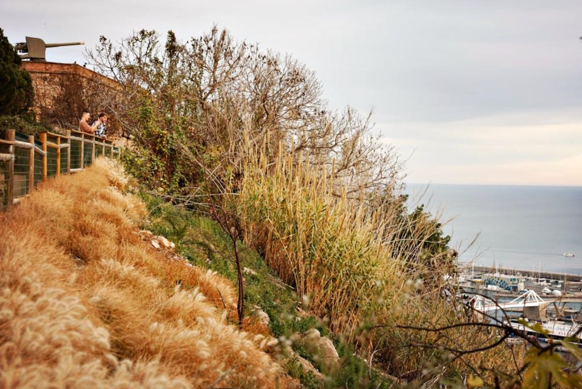 ¿Cuáles son las restricciones de agua en los municipios de Barcelona ...