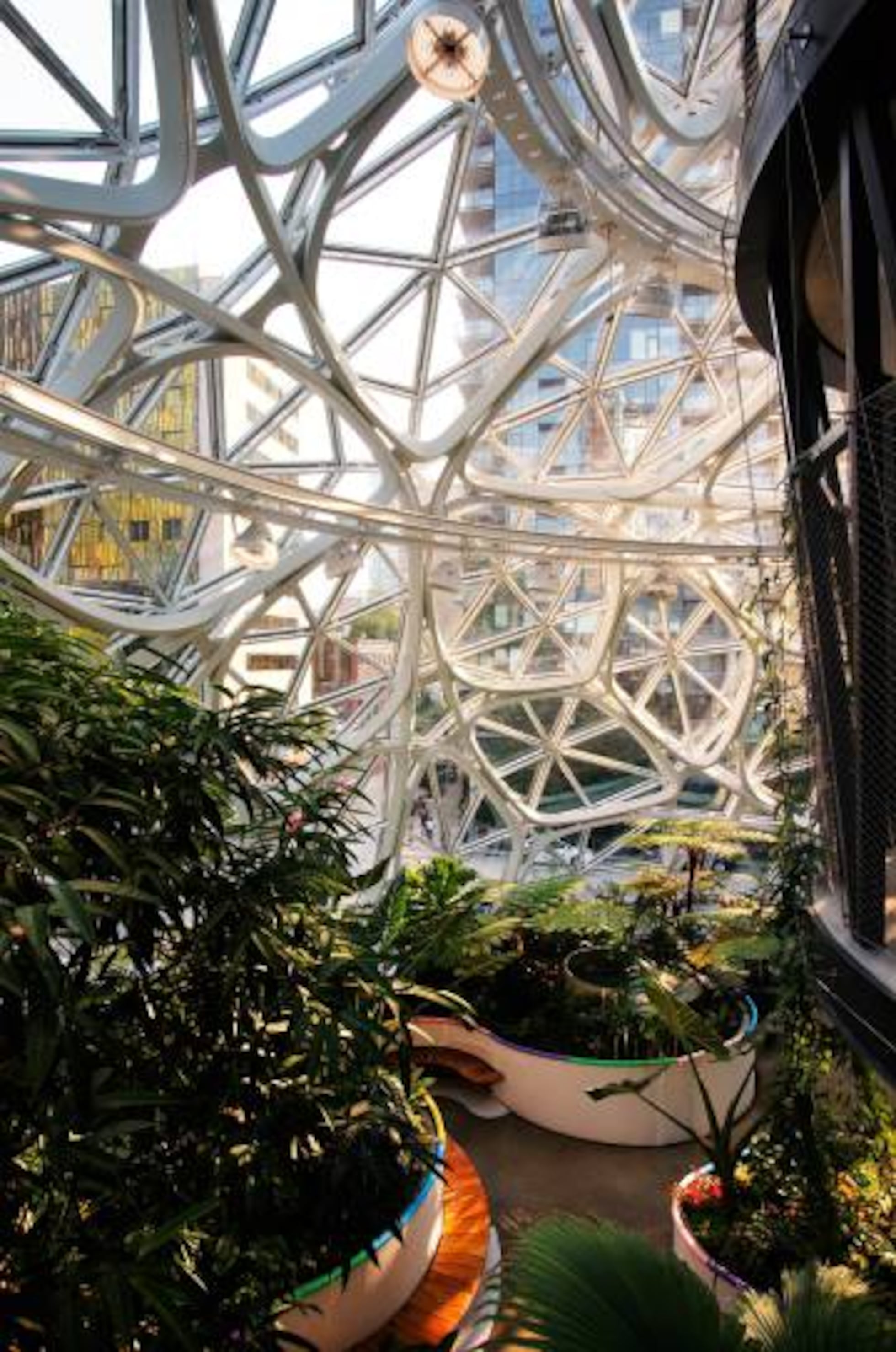 Technology industry: What is life like at Amazon’s Seattle HQ ...