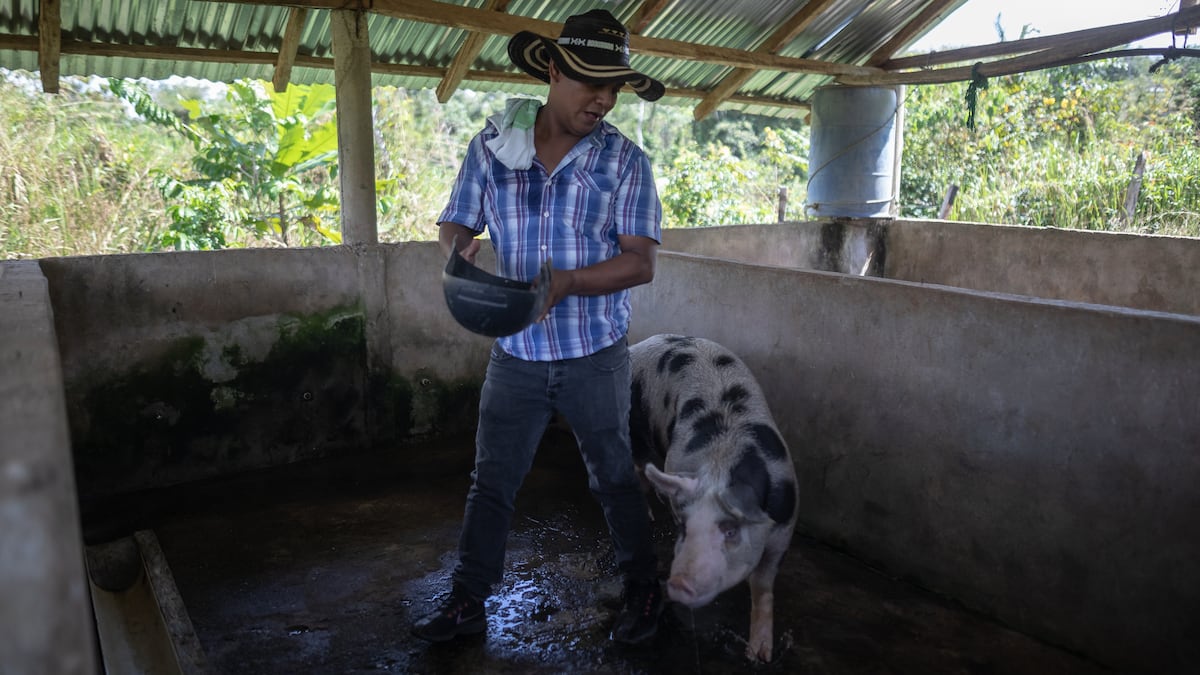 Colombia: The Colombian coca farmers who said no to drugs | U.S. | EL ...