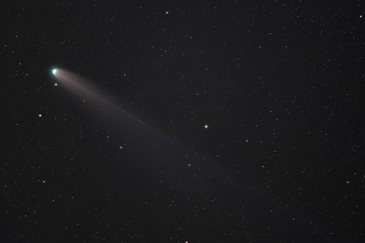 Cómo ver el paso del cometa Lemmon en su punto más brillante desde ...