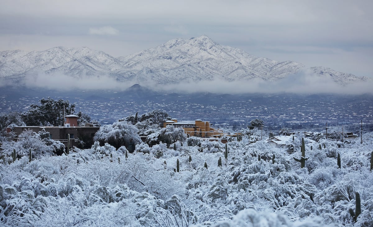 La nieve cubre el desierto de Arizona, en imágenes | Fotos ...
