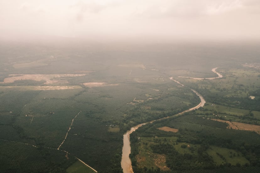 Catatumbo: In the heart of the war in Colombia | International | EL ...