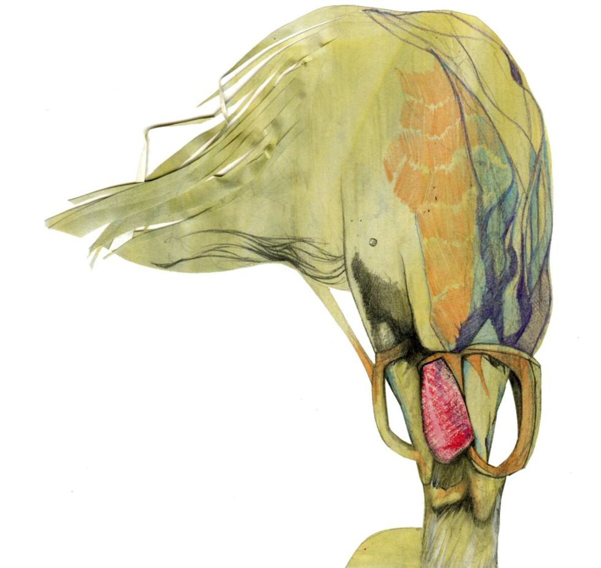 'Itinerario de un editor', de Javier Pradera.: ¿Qué diría Pradera ...