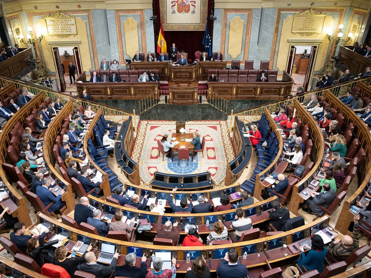 El Congreso Debate Sobre La Legalización Integral Del Cannabis En