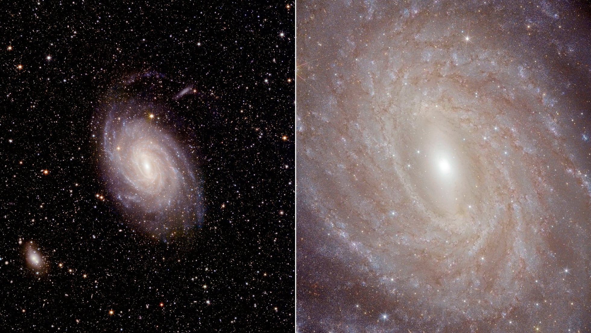 El telescopio ‘Euclid’ celebra sus primeros descubrimientos científicos ...