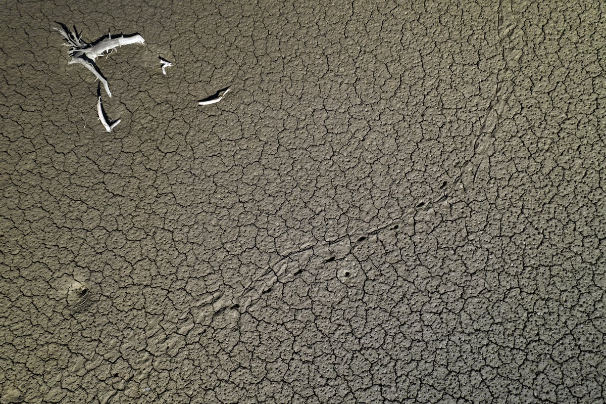 Global warming: Extreme droughts 20 times more likely under current ...