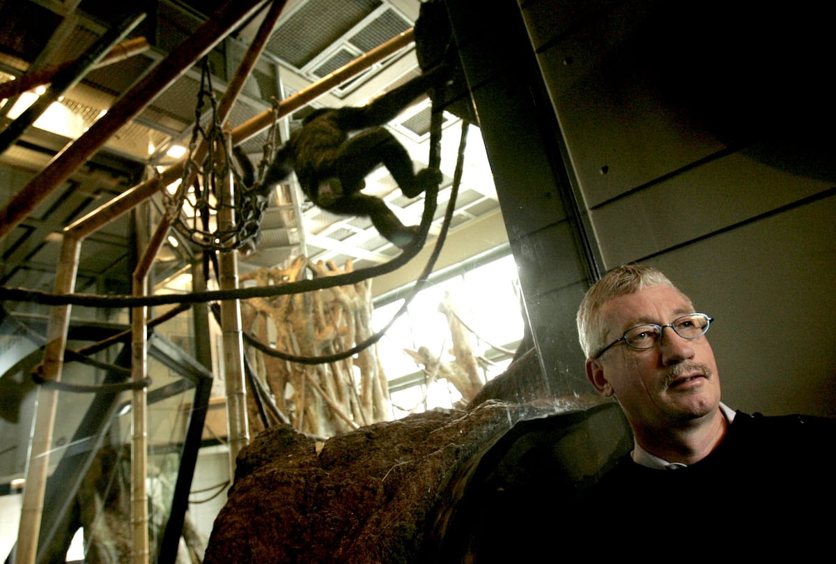 Frans de Waal nos enseñó que todos “los primates somos familia ...
