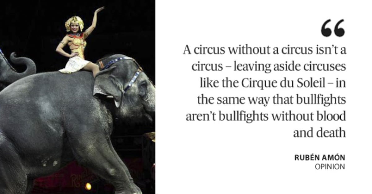 Animal rights in Spain: Once upon a time there was a circus | Spain ...