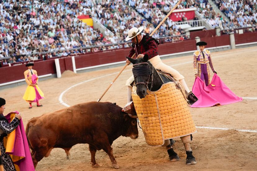 Los toros, la excepción en una España que avanza en la protección de ...