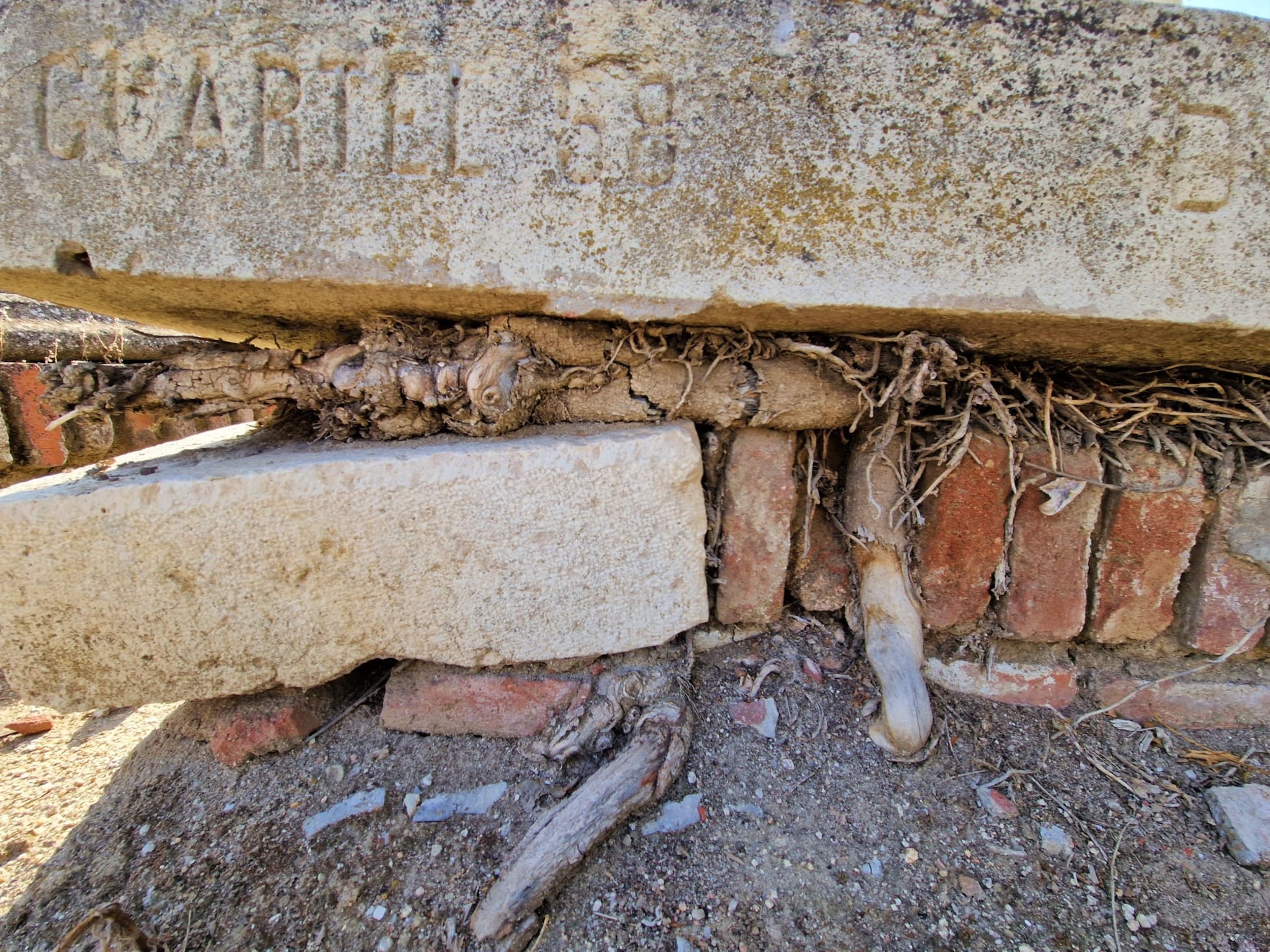 Hallada la tumba perdida de Mercedes Roca, un insólito poema de piedra ...