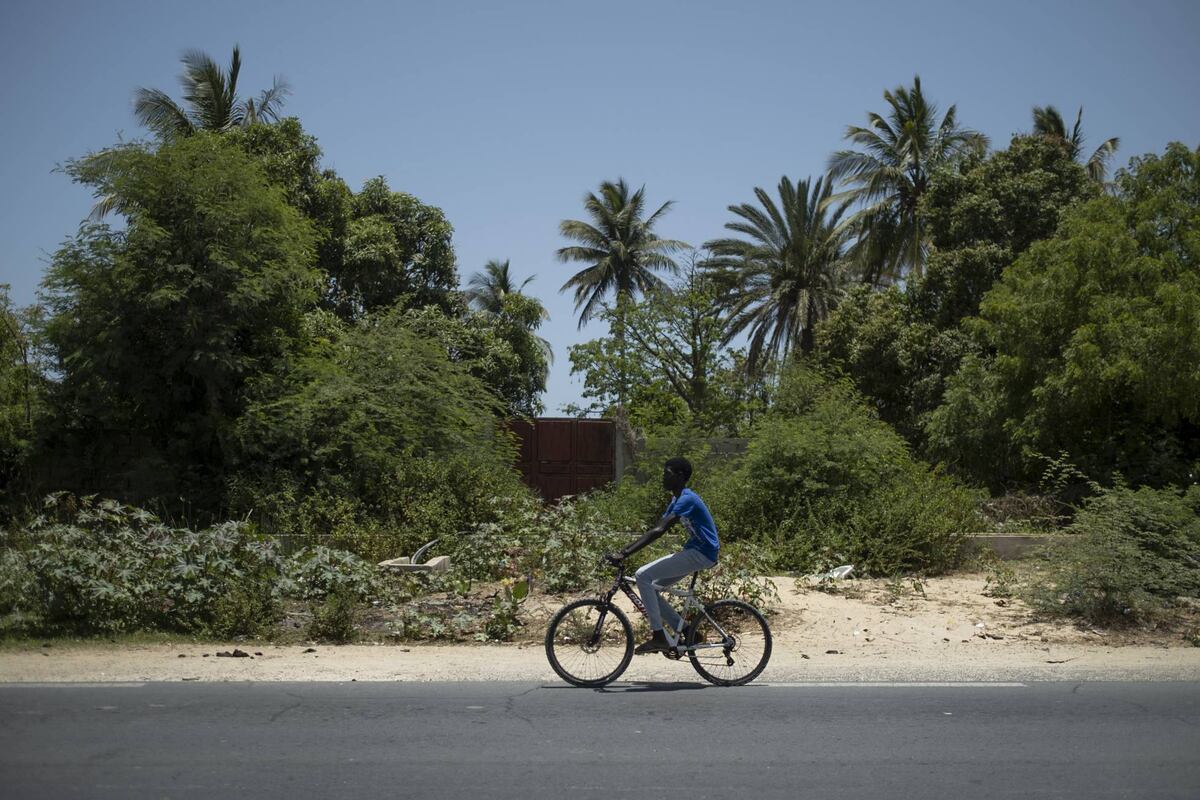 Senegal De paseo por el barrio de Bango: De paseo por el barrio de ...