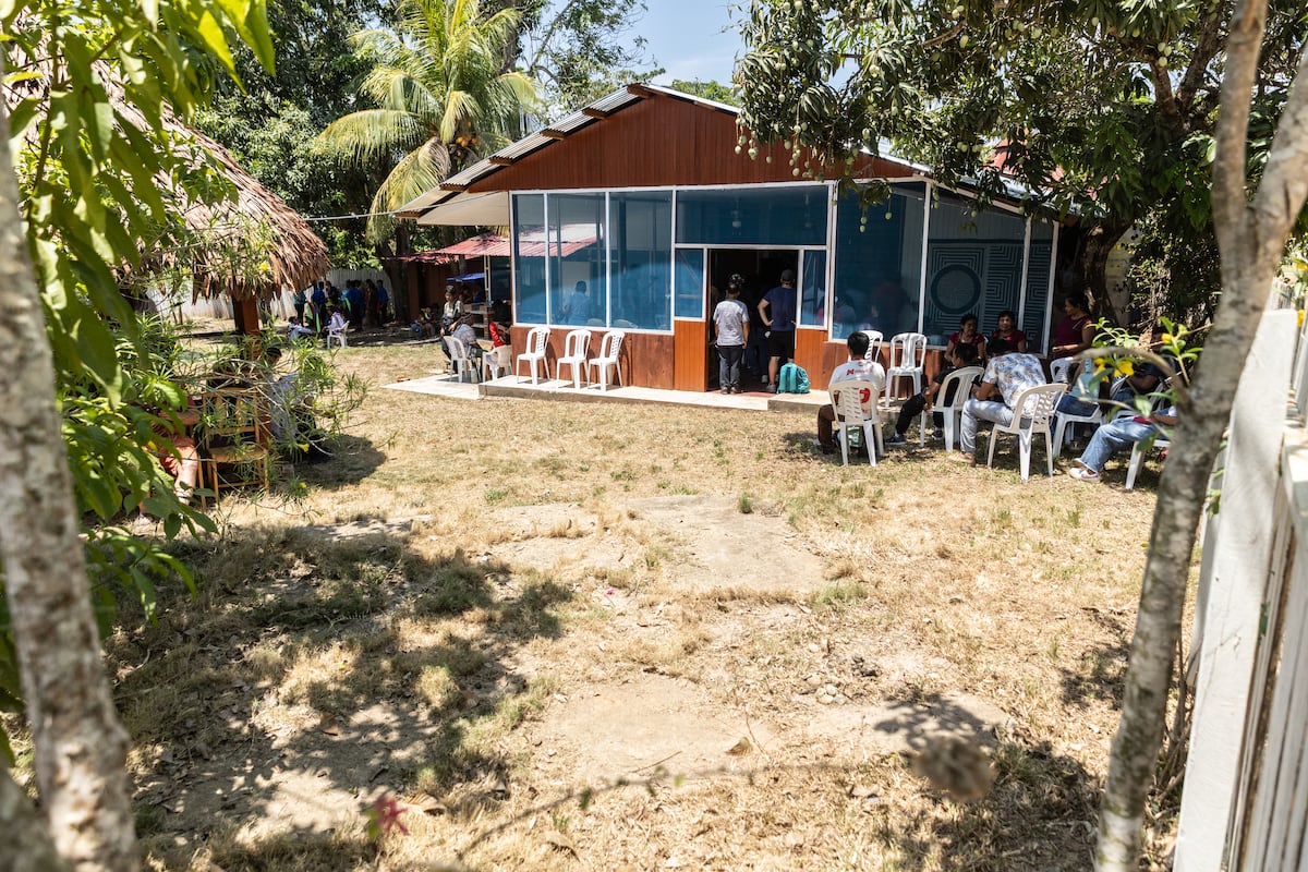 Chana, the research station in the Peruvian jungle set up to rescue ...